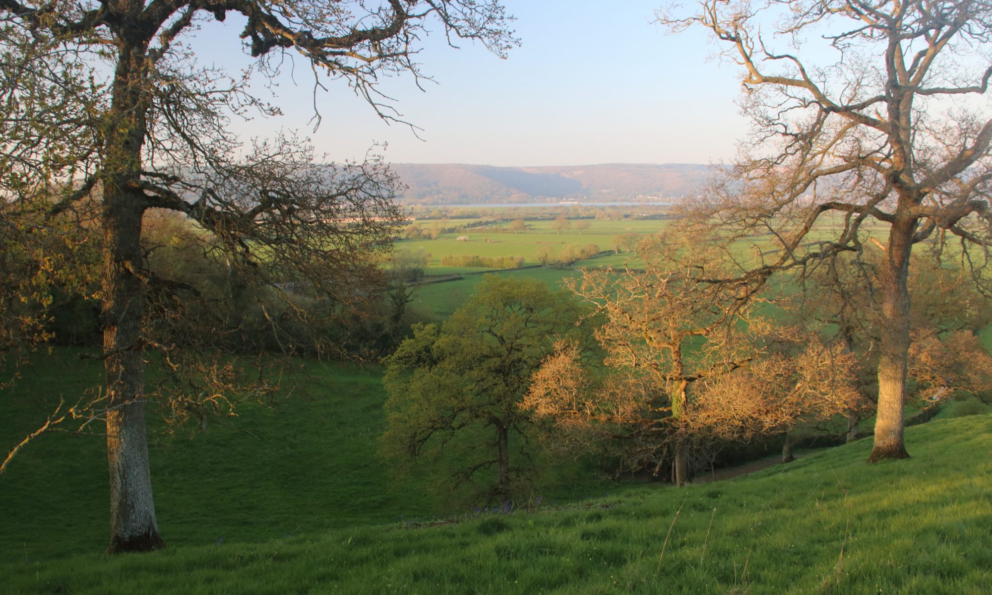 Lane End Farm – In beautiful Somerset